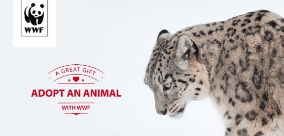 WWF Adopt a Snow Leopard | Adopt an Animal from £3.00 a month