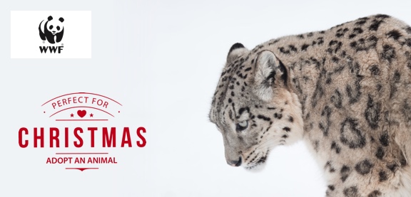 WWF Adopt a Snow Leopard | Adopt an Animal from £3.00 a month