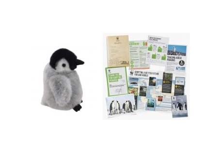 Adopt a Penguin | WWF Animal Adoptions from £3.00 a month