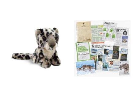 WWF Adopt a Snow Leopard | Adopt an Animal from £3.00 a month